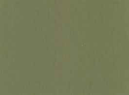 Spectrum Cilantro Outdoor Fabric